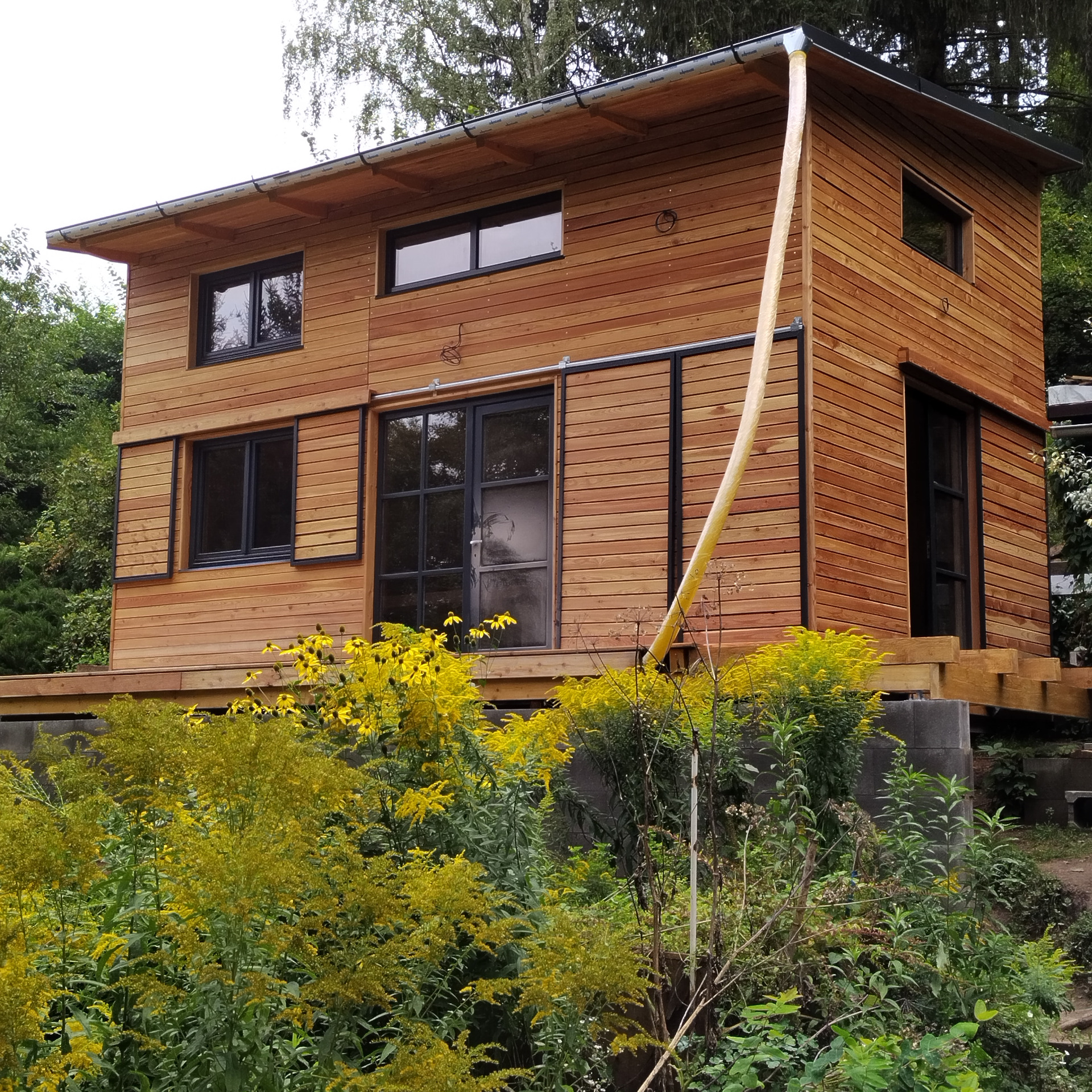 Novinky :: domkycervenka